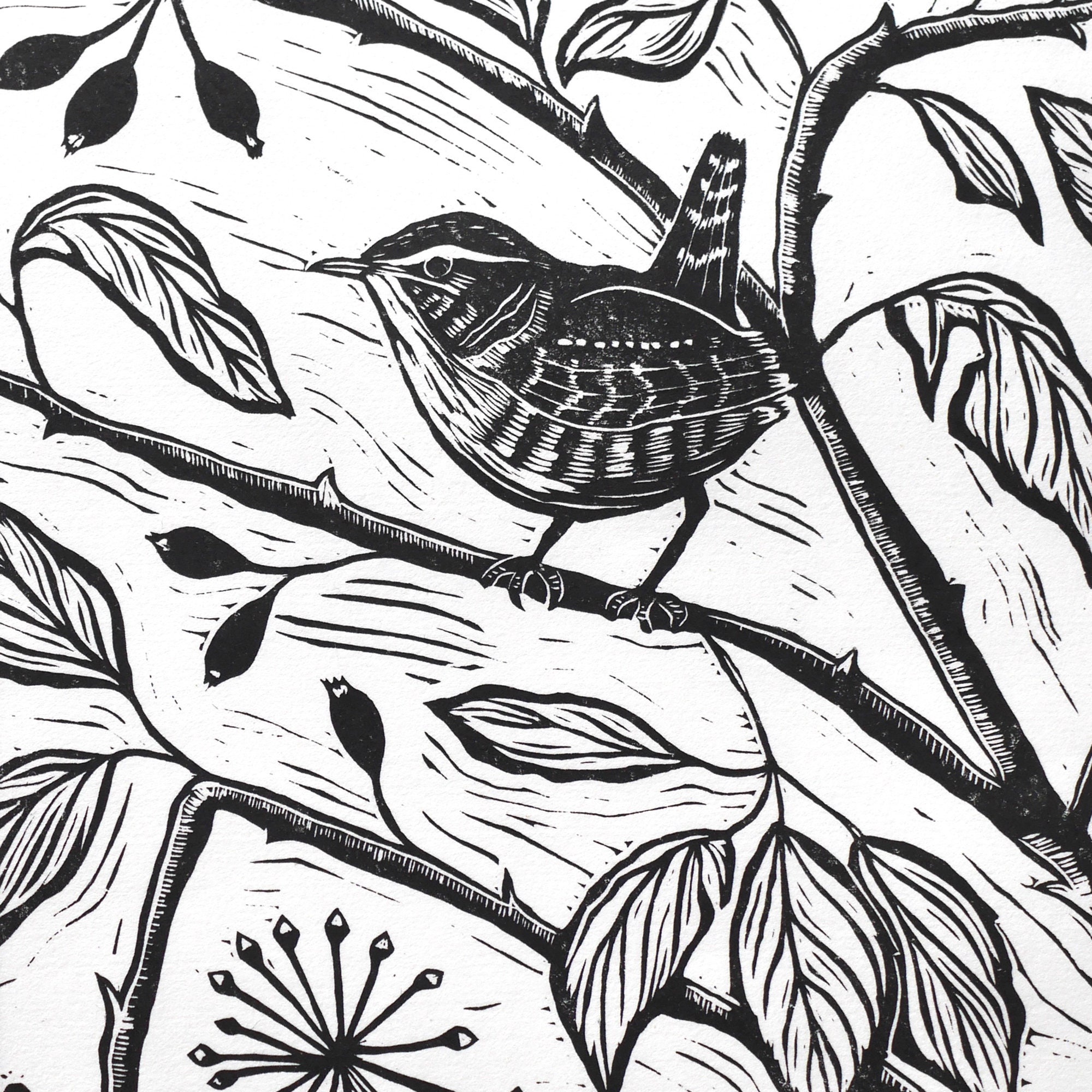 Wren Original Limited Edition Lino print, Linocut print sold by Yalonda ...
