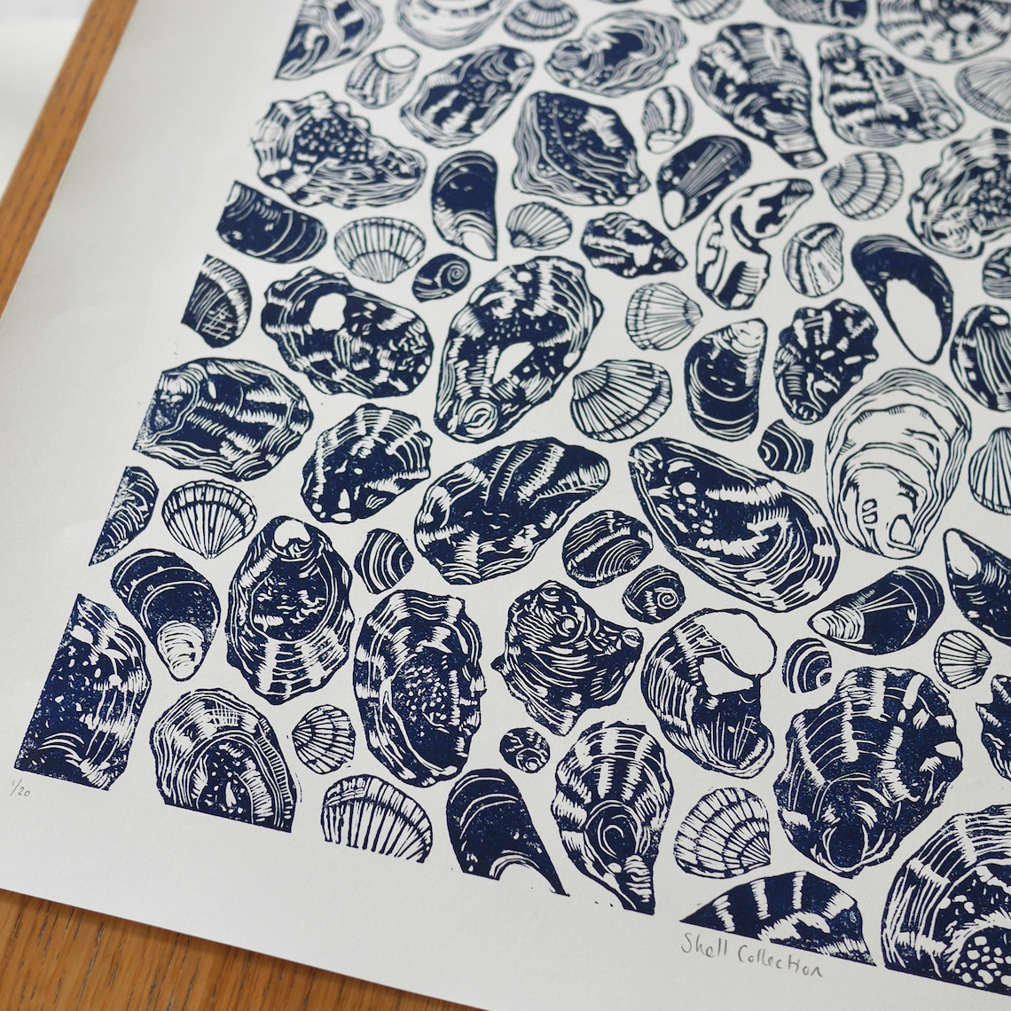 Shell Collection Original Limited Edition Lino Print Linocut - Etsy UK