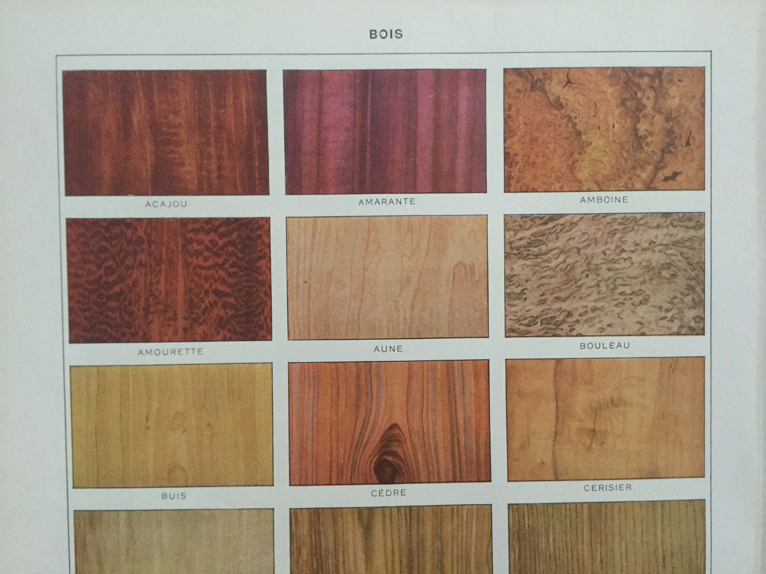 Large Format Wood Species Boxwood, Cedar Cherry Oak Wood Wood Color ...