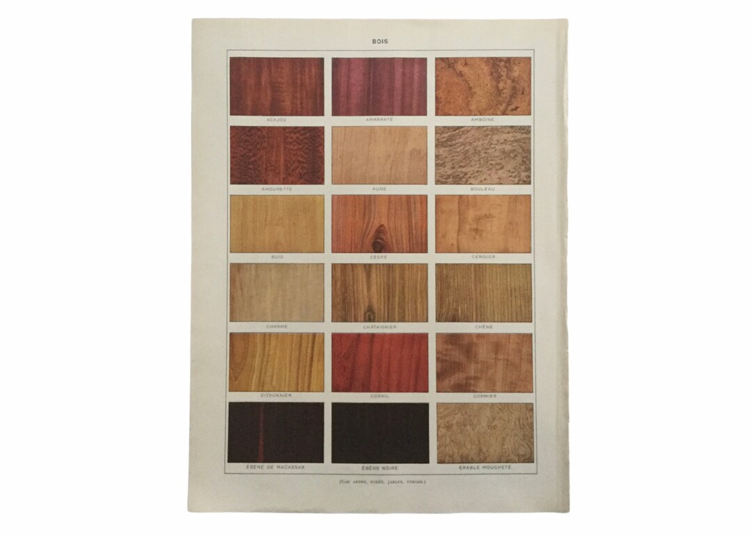 Large Format Wood Species Boxwood, Cedar Cherry Oak Wood Wood Color ...