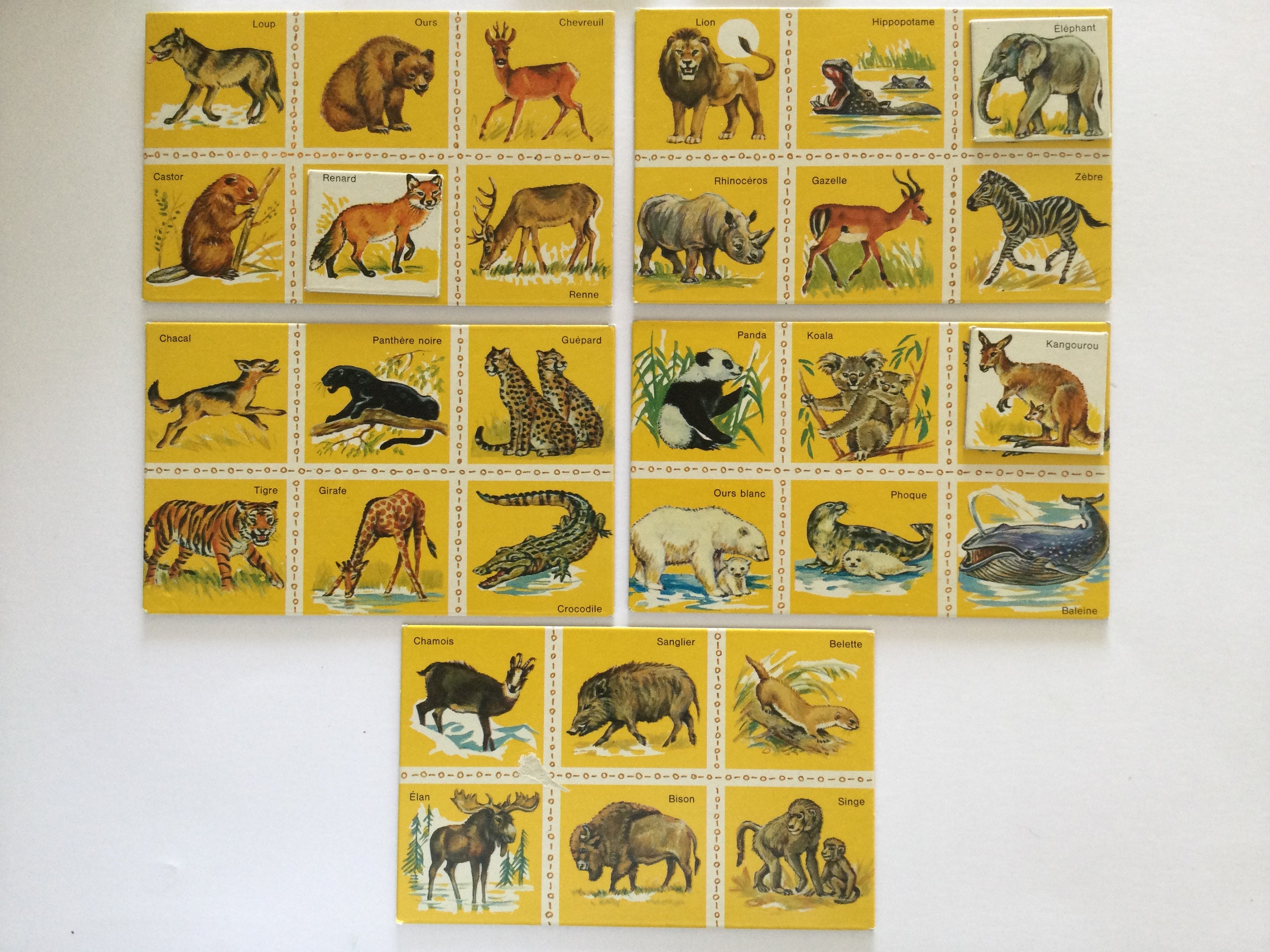 Wild Animal Lotto, Old Toy, Picture Book, Lotto, Vintage Toy 1960 ...