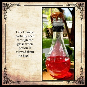 Elixir of the Phoenix Potion - From the Enchanted Potion Collection - Etsy