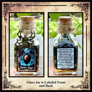 Spider Eggs - From the Enchanted Potion Collection - Etsy