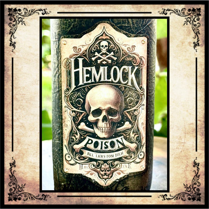 Hemlock Poison - From the Ancient Potion Collection - Etsy
