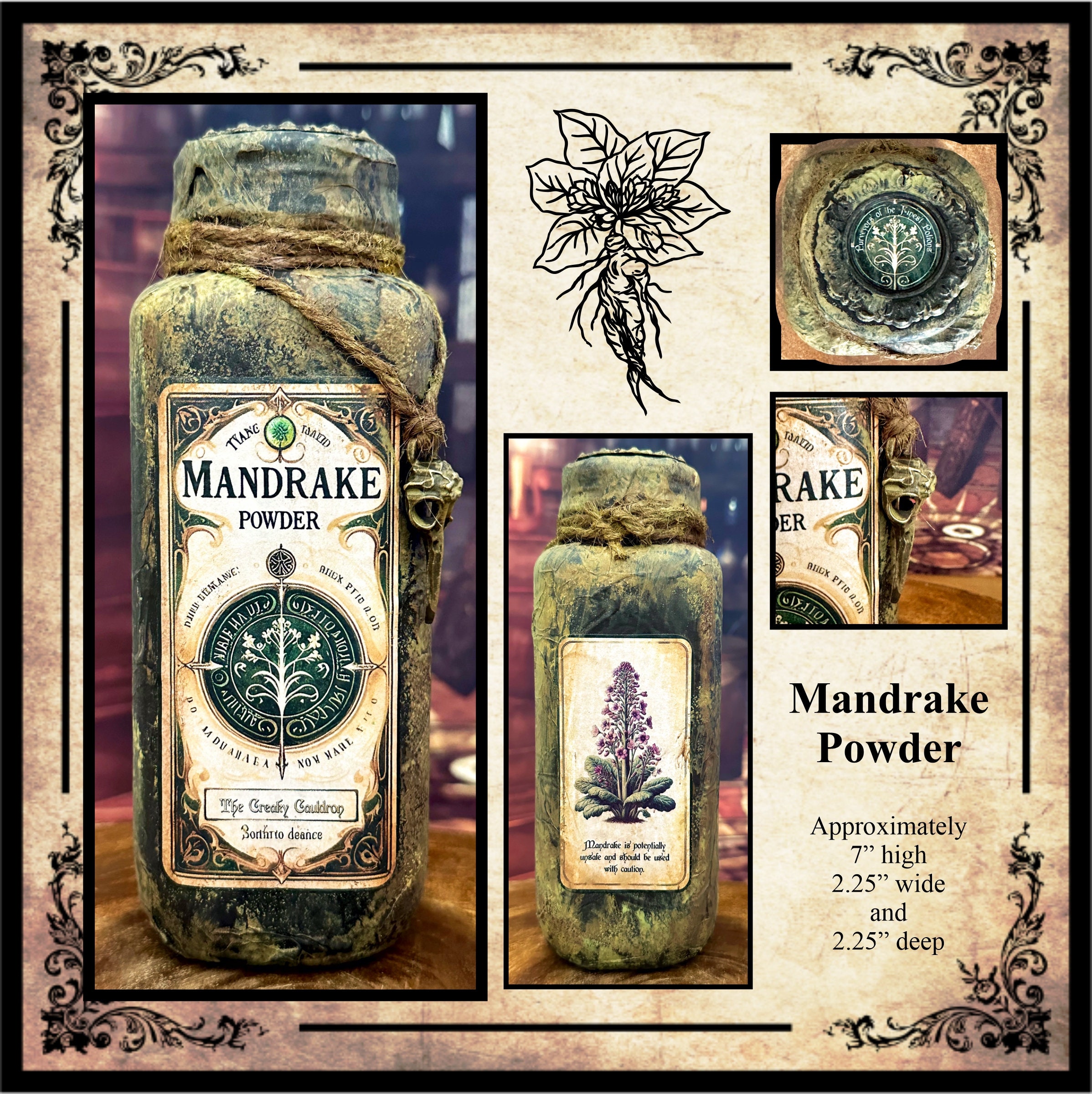 Mandrake Apothecary Potion Jars - From the Ancient Potion Collection - Etsy