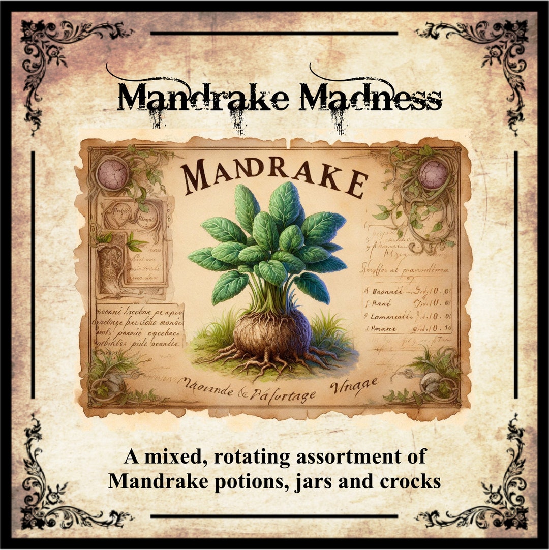 Mandrake Apothecary Potion Jars - From the Ancient Potion Collection - Etsy