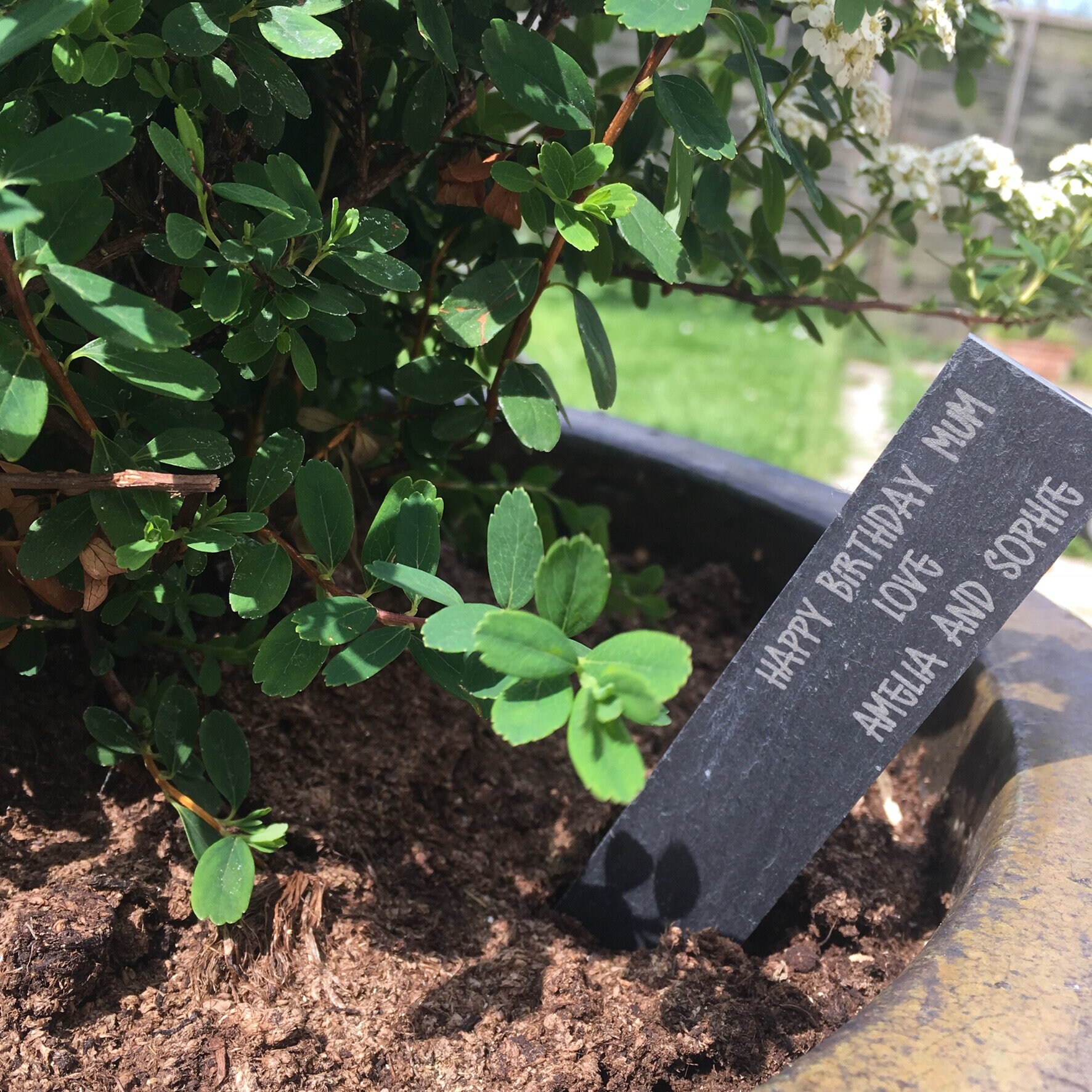 Personalised Garden Slate Plant Markers - Etsy UK