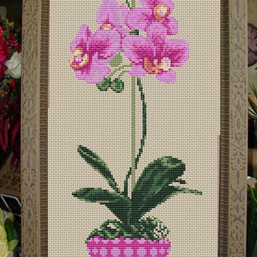 Orchid Cross Stitch Pattern 2 Instant PDF Download Flowers - Etsy