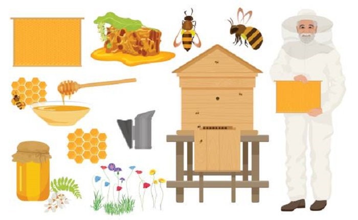 Bee Venom Capsules, Capsules De Venin D'abeille, Bee Venom Capsules 200 ...