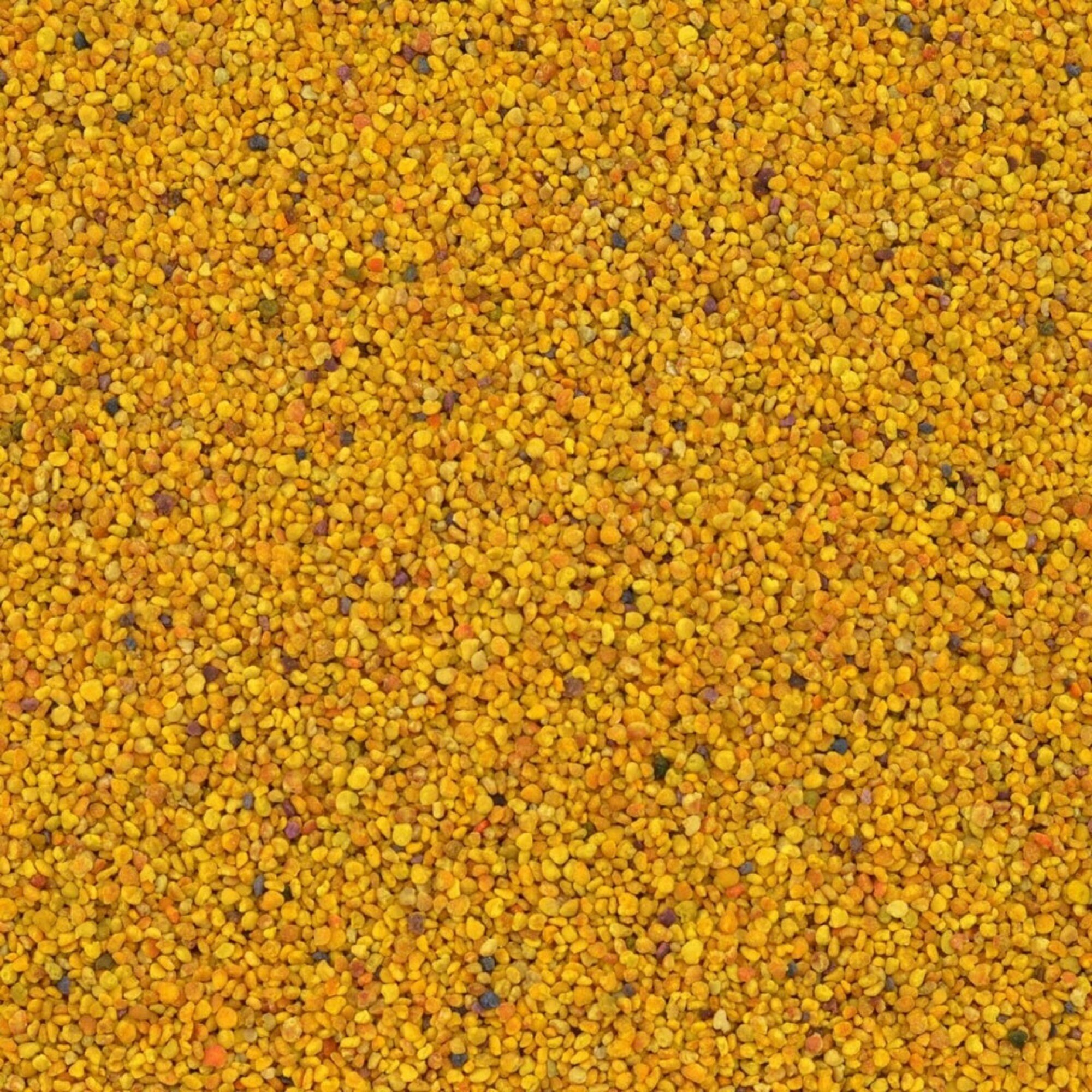 Pollen, Flower Pollen, Flower Pollen, Pollen. Nutritional Supplement ...