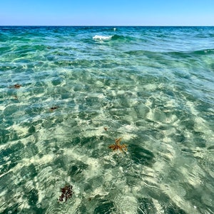 Four Crystal Clear Aqua Green and Blue Ocean Water Printable Digital ...