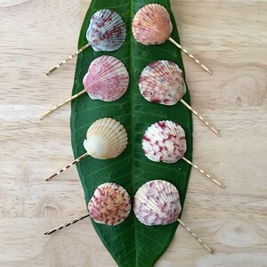 Handpicked Scallop Shell Hair Pin for Beach, Boho Party, Music Festival ...
