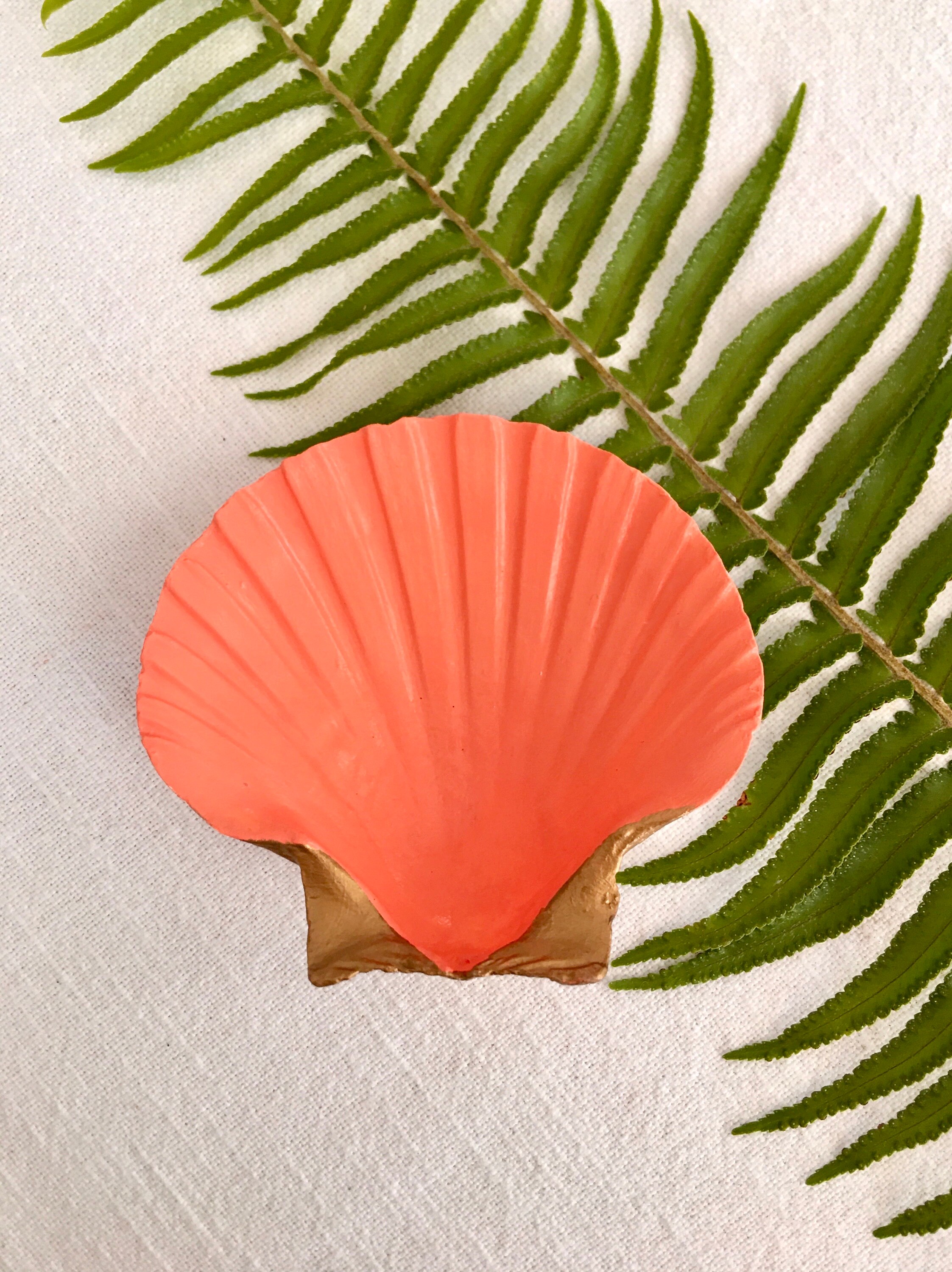 Coastal Chic Shell Ring Dish Hand Painted Irish Scallop Seashell Ring ...