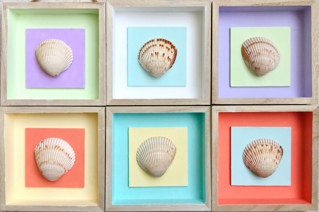 Handpicked Seashell Shadow Box: Beachcomber Art, Coastal Wall & Door ...