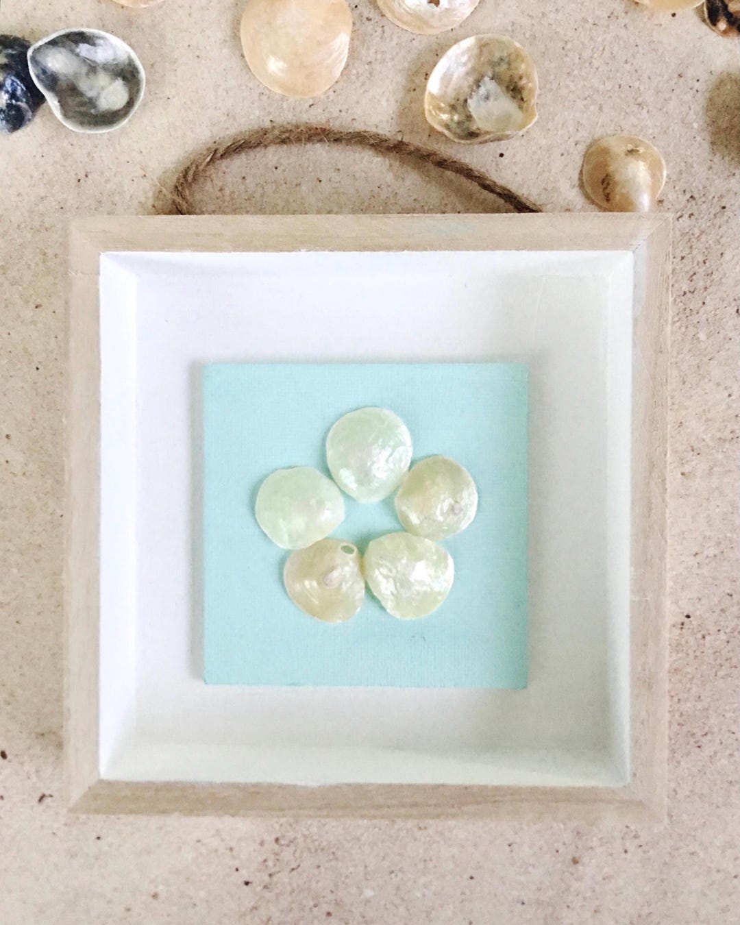 Shell Art, Handpicked Jingle Shells Shadowbox, Wall Art, Coastal Living ...
