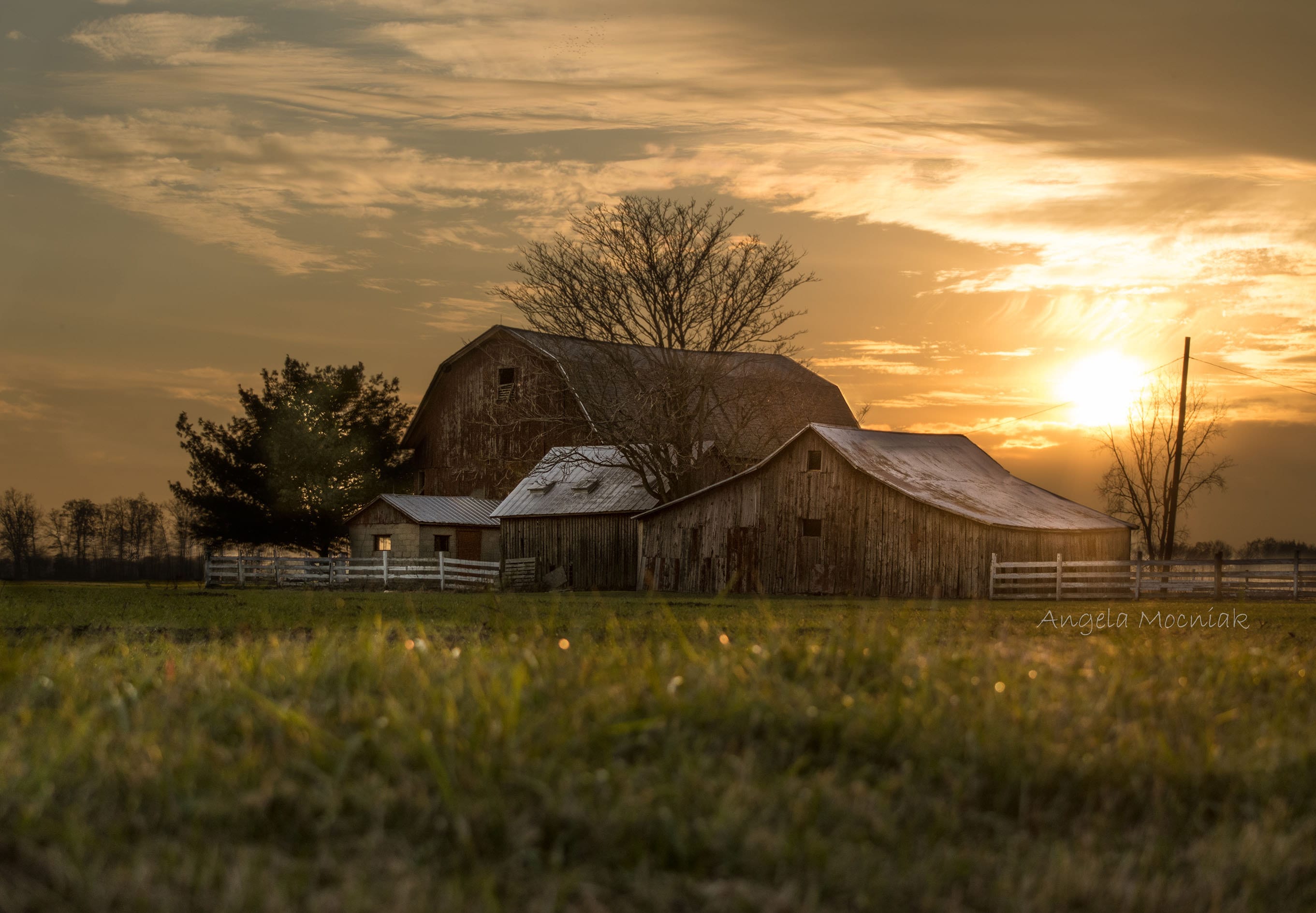 Farm Sunset Background