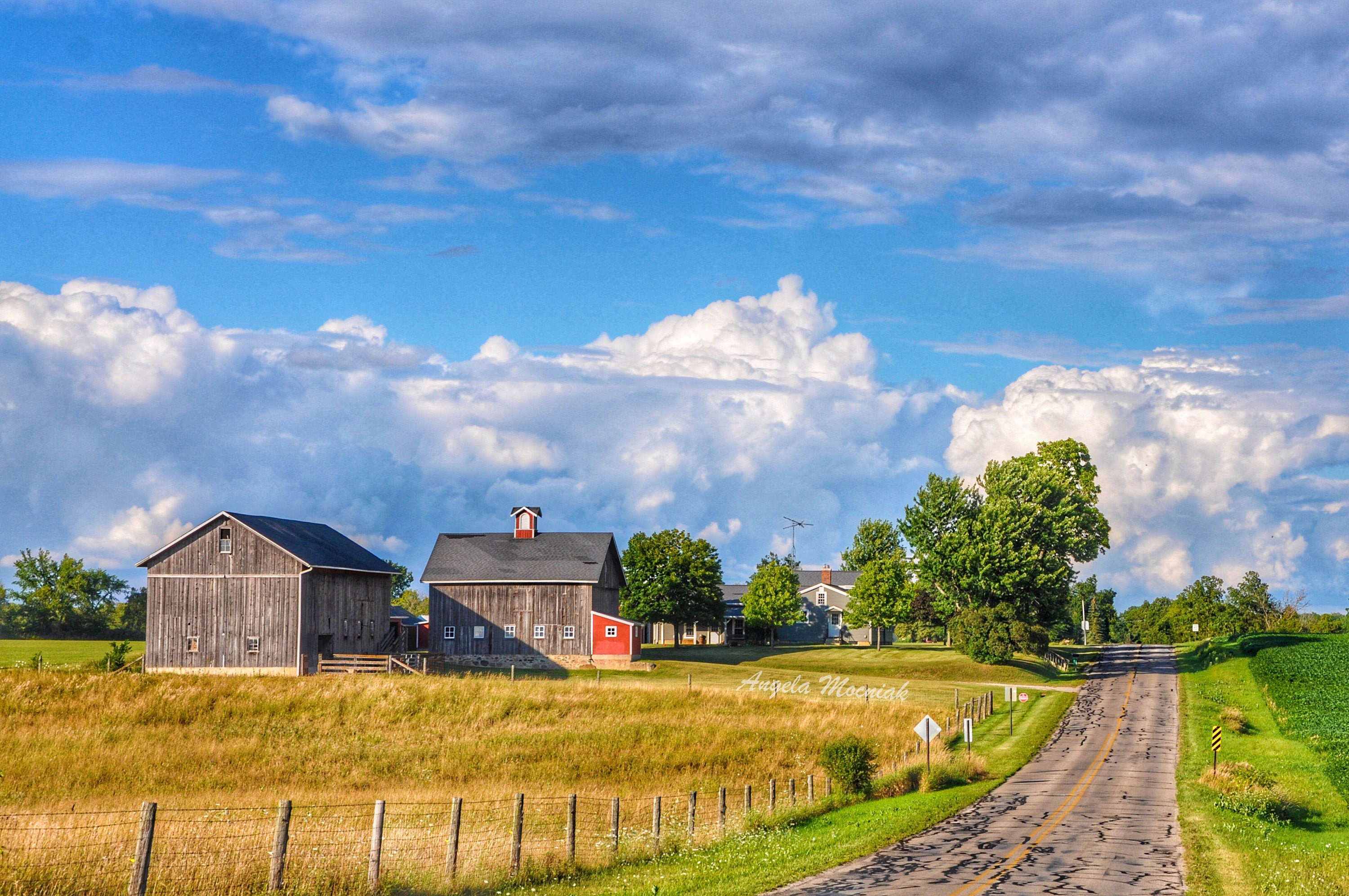 Michigan Country Roads Artwork / Farm Scene / Rural Photography ...