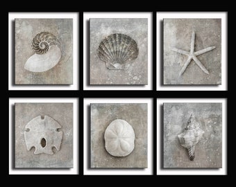 Sea shell art | Etsy