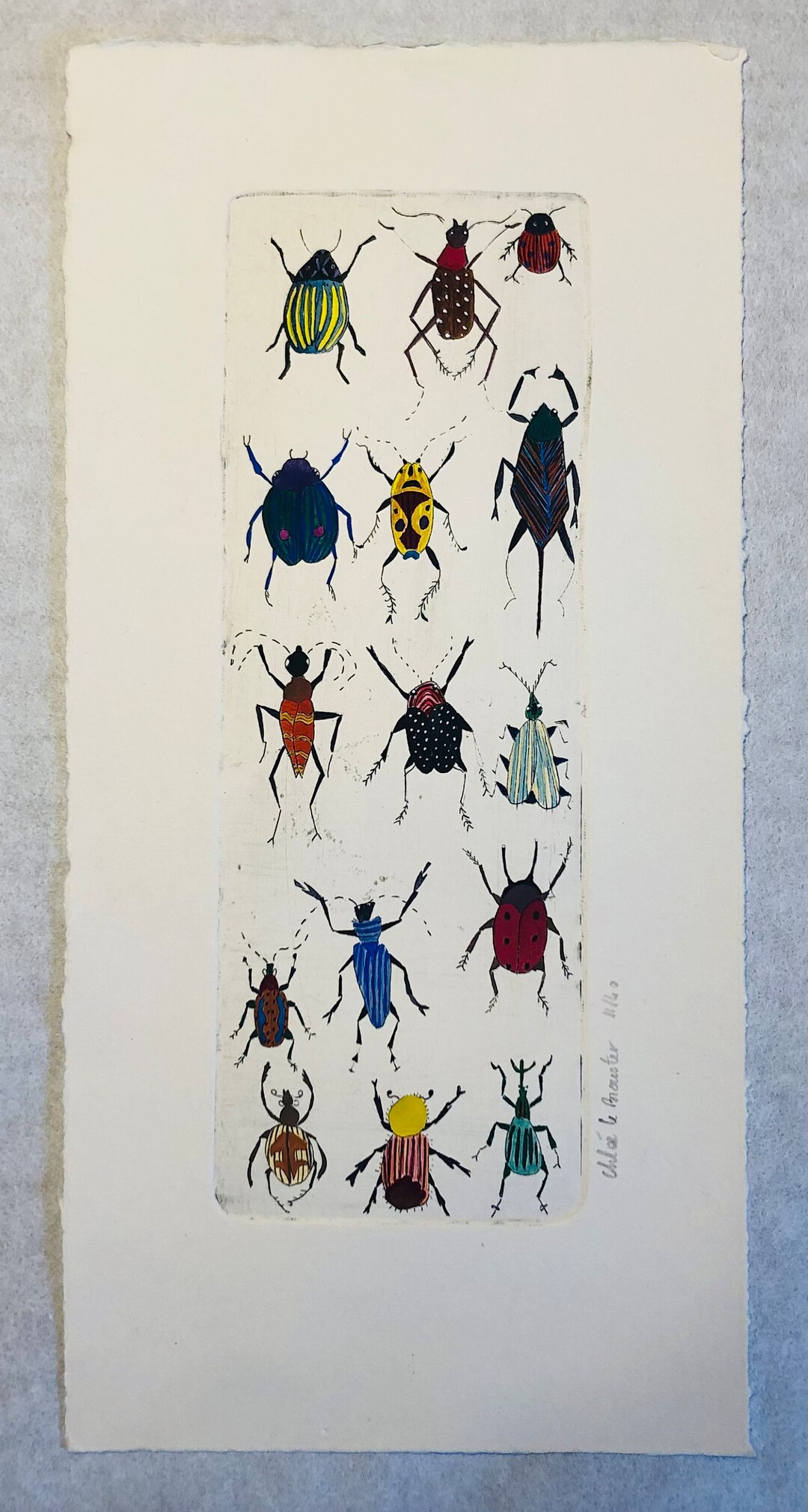 Insects 11/40 Etching and Gouache Chloé Le Brouster - Etsy