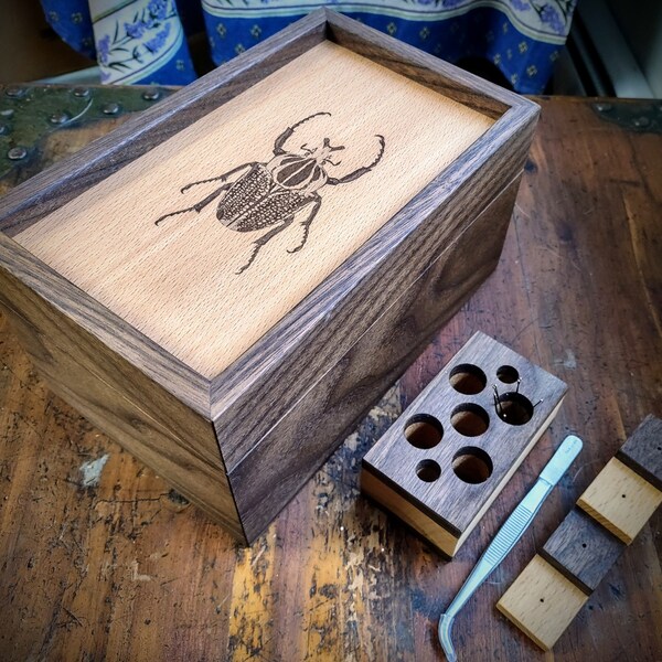 Insect Collection - Etsy