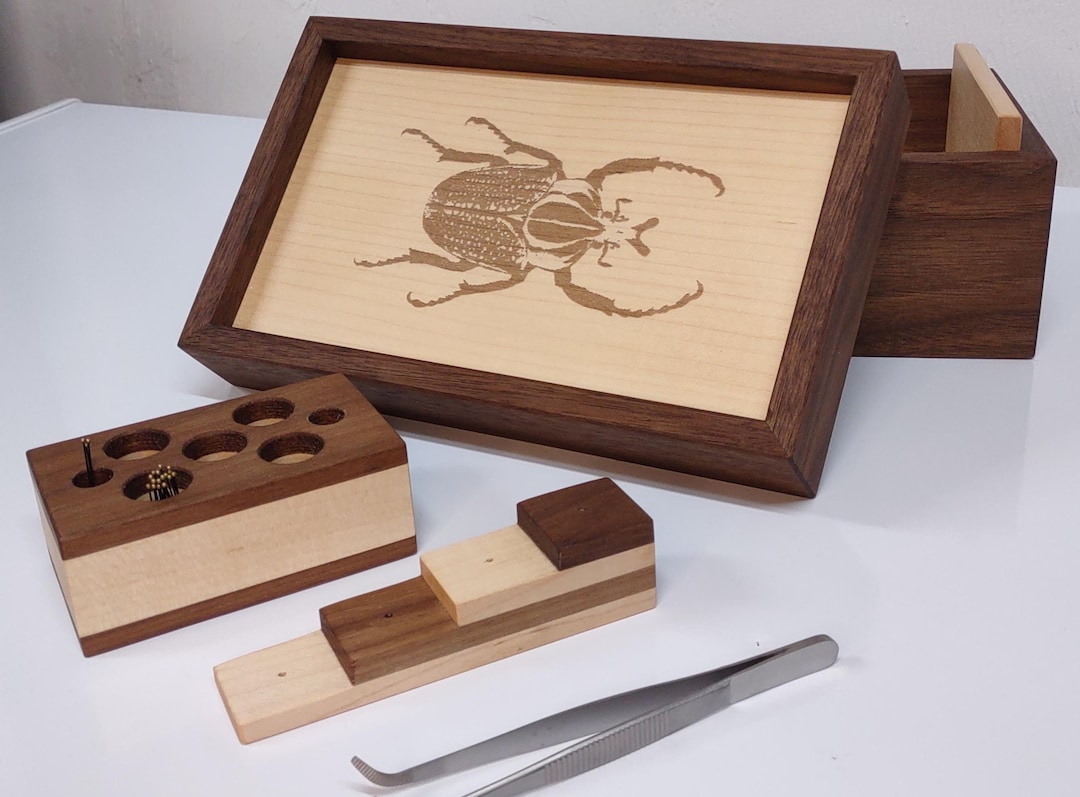 Handmade Insect Pinning Kit: Engraved Black Walnut & Maple Chest - Etsy