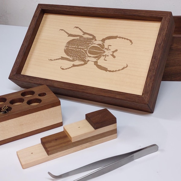 Insect Collection - Etsy