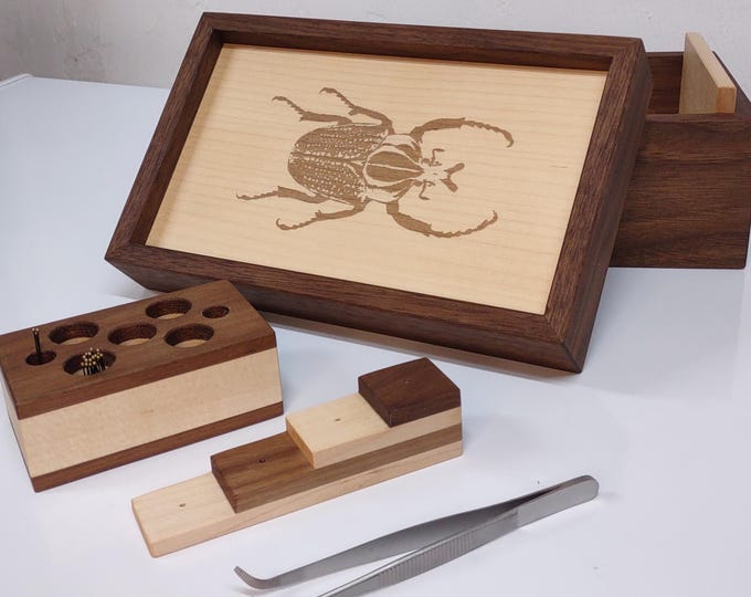 Handmade Insect Pinning Kit: Engraved Black Walnut & Maple Chest - Etsy