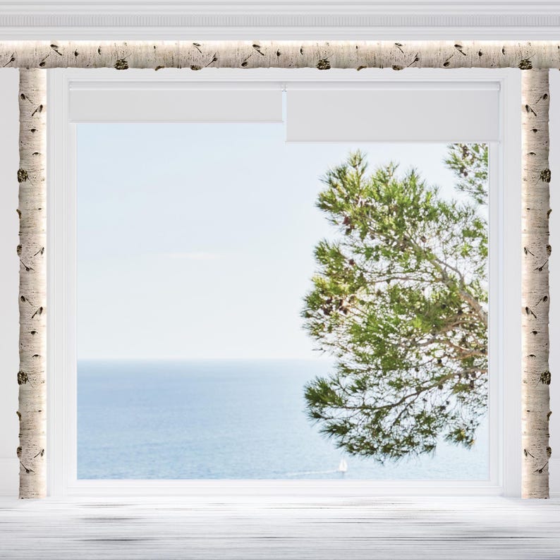 Birch Tree Look Wallpaper Border 4 Inch, Nature Inspired Abstract Wall ...