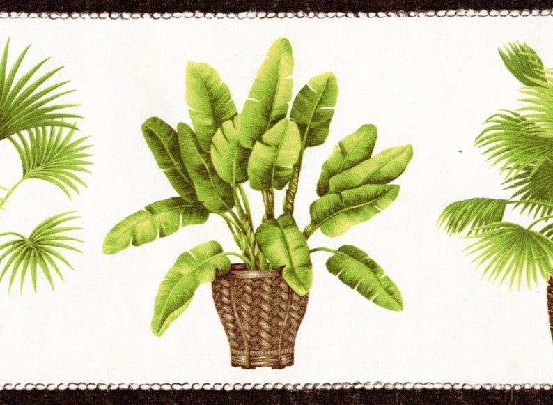 Tropical Palm Tree Wallpaper Border 6.87 Inch, Potted Green Plant Wall ...