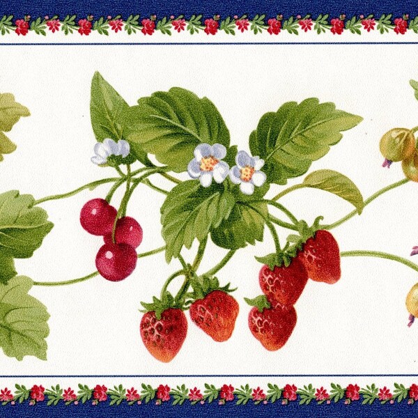 Fruit Border - Etsy