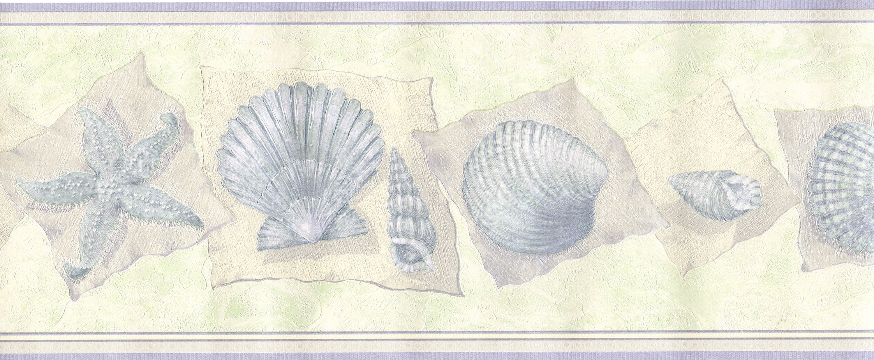 Textured Seashell Wallpaper Border Beach Wallpaper border | Etsy