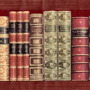 Vintage Classic History Books on Library Bookshelf Wallpaper Border ...
