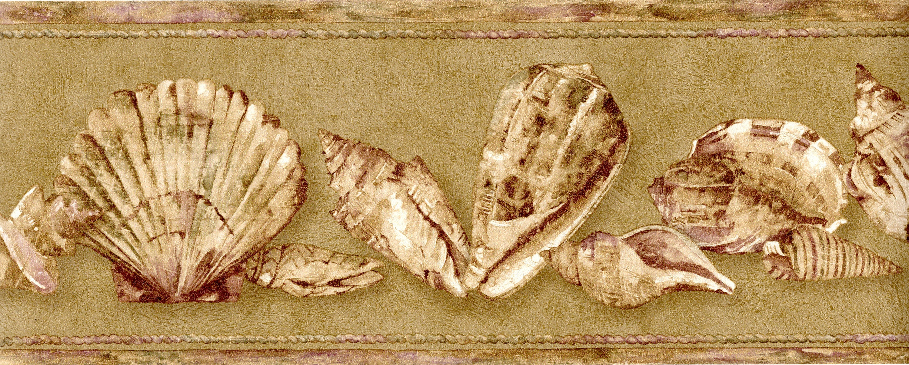 Seashell Wallpaper Border