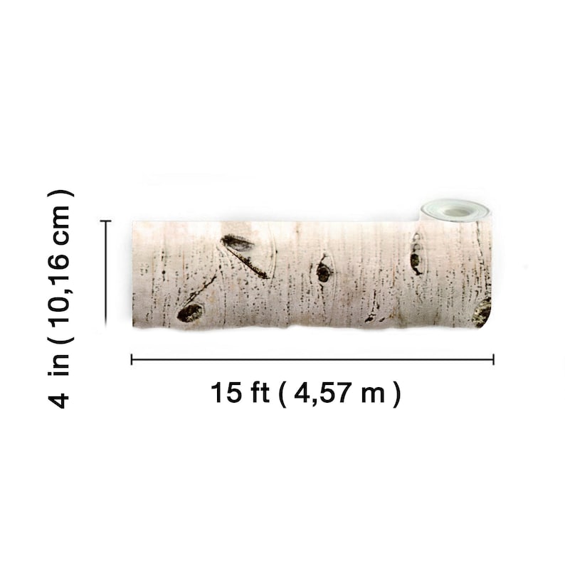 Birch Tree Look Wallpaper Border 4 Inch, Nature Inspired Abstract Wall ...