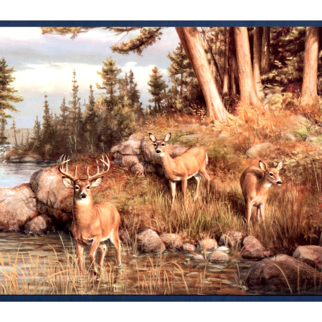 Rustic Nature Wilderness Country Mountain Deer Pine Tree Outdoor ...