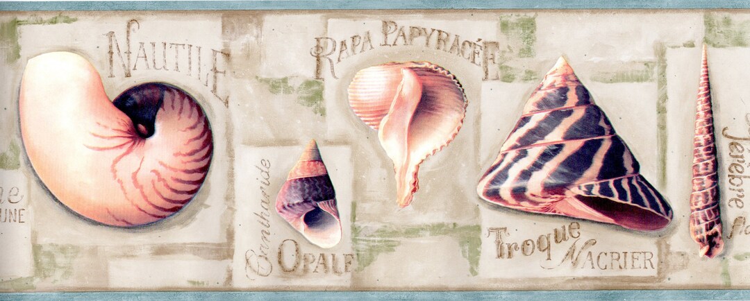 Seashell Wallpaper Border Nautical Living Wallpaper Border - Etsy España