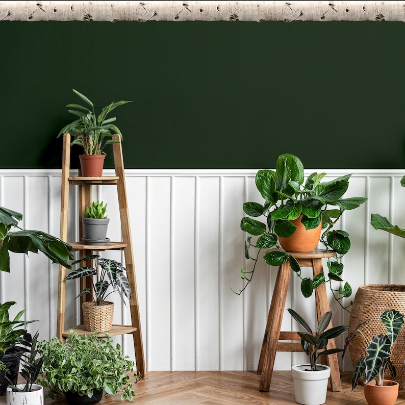 Birch Tree Look Wallpaper Border 4 Inch, Nature Inspired Abstract Wall ...