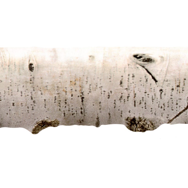 Birch Tree Wallpaper - Etsy