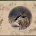 Country Nature Wilderness Wild Ducks Hunting Wallpaper Border, Pre ...