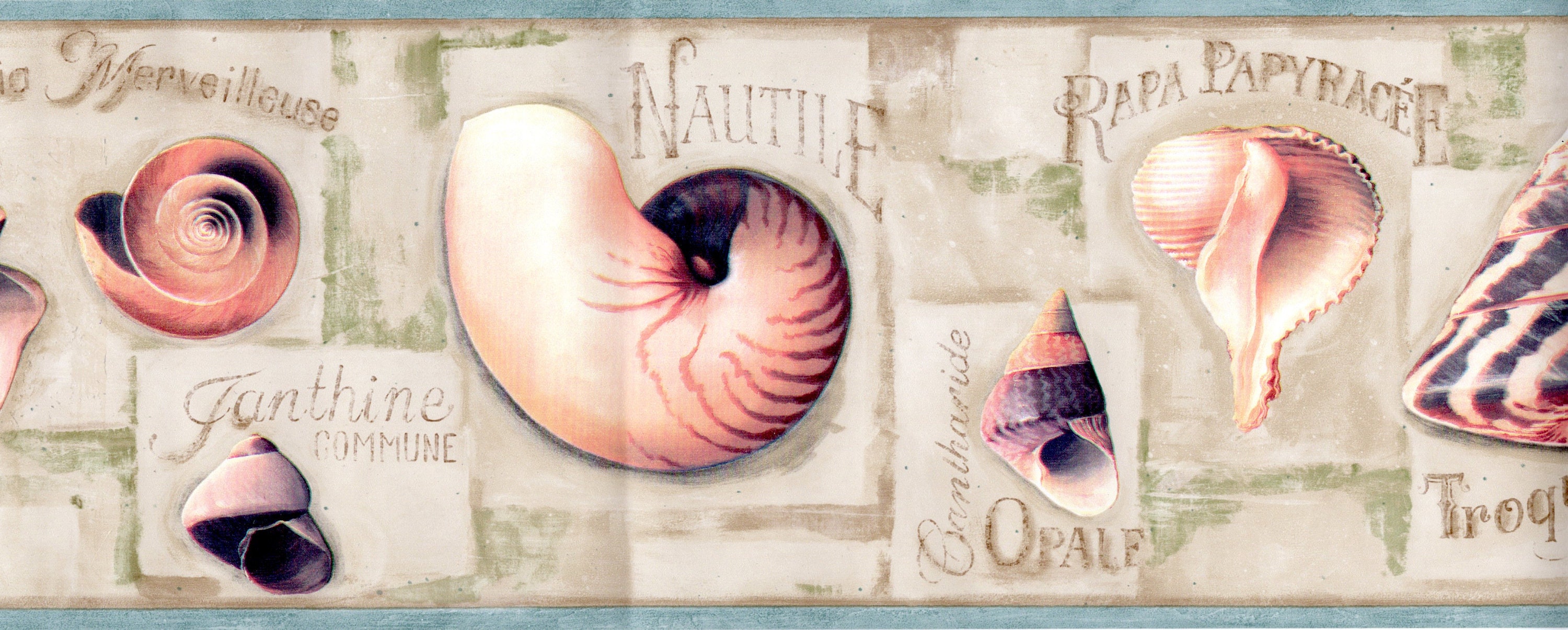 Seashell Wallpaper Border Nautical Living Wallpaper Border | Etsy