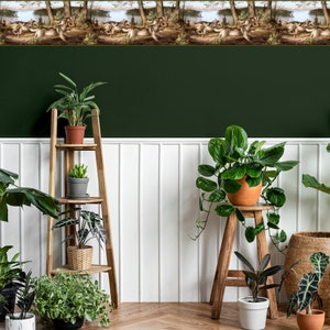 Country Nature Wilderness Woodland Wildlife Wolf Pack Wolves Wild ...