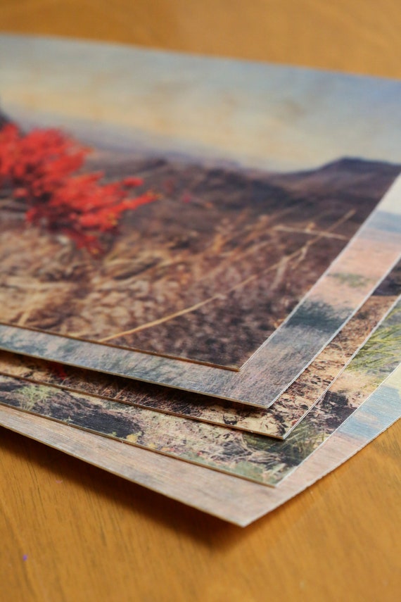 Paper Blank Cards Chisos Mountain Basin in Big Bend National Park Birch ...