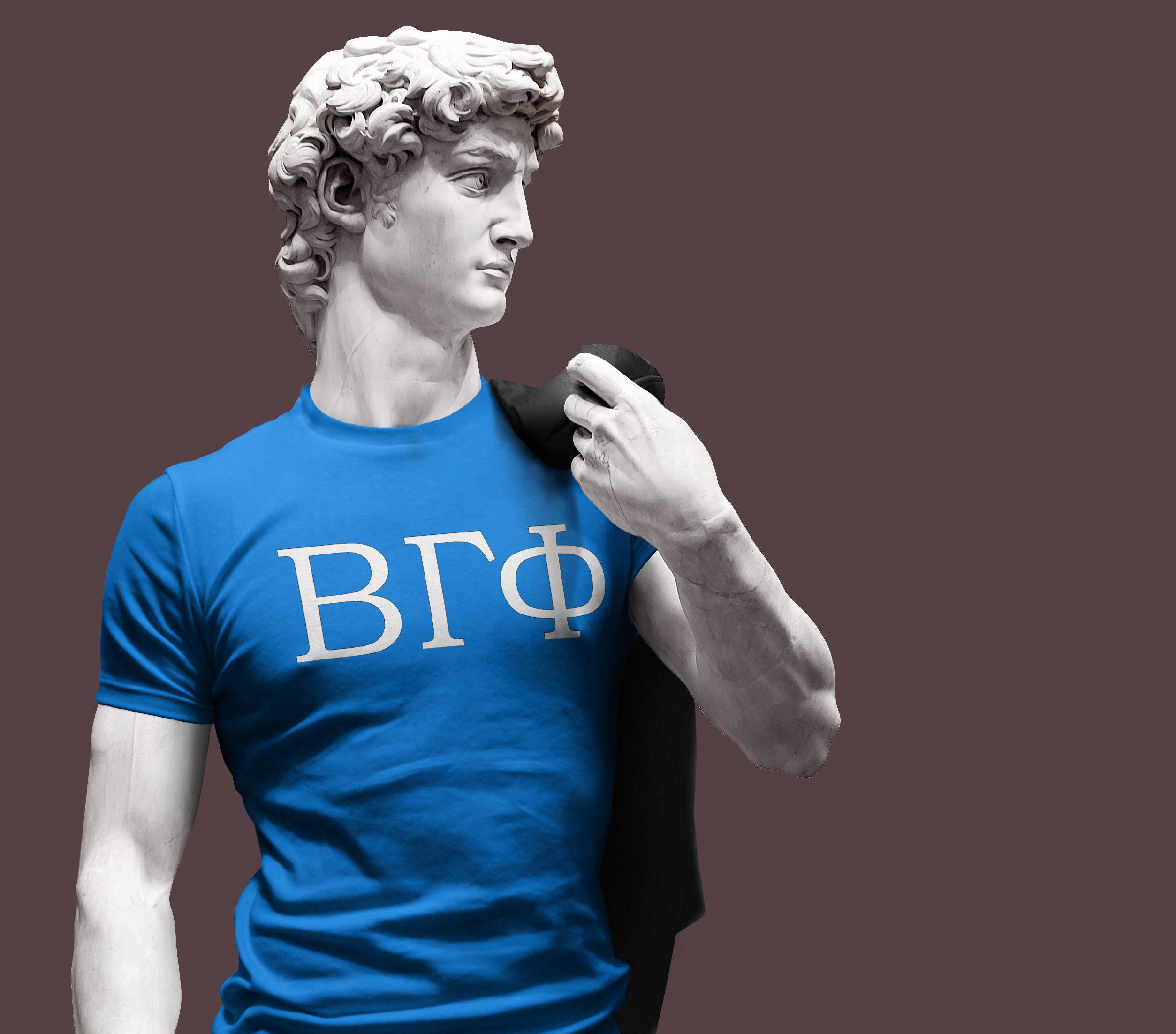 Funny Frat Guy Shirt, Fraternity Gift, Little Brother Frat Gift, Big ...