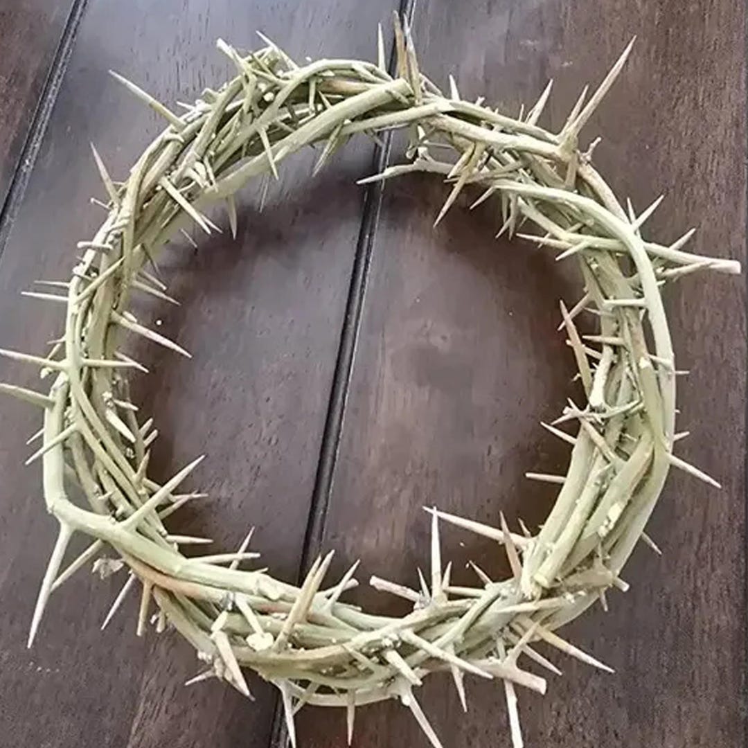 Authentic Life-size 8-inch Crown of Thorns Wreath – Handmade in ...