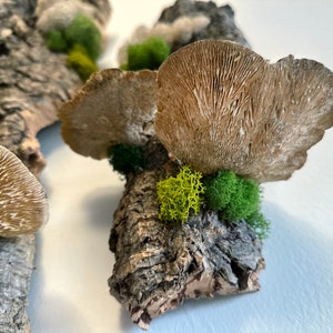 Floating Forest Trio Moss Wall Art, Wall Decor, 3 Cork Bark W ...