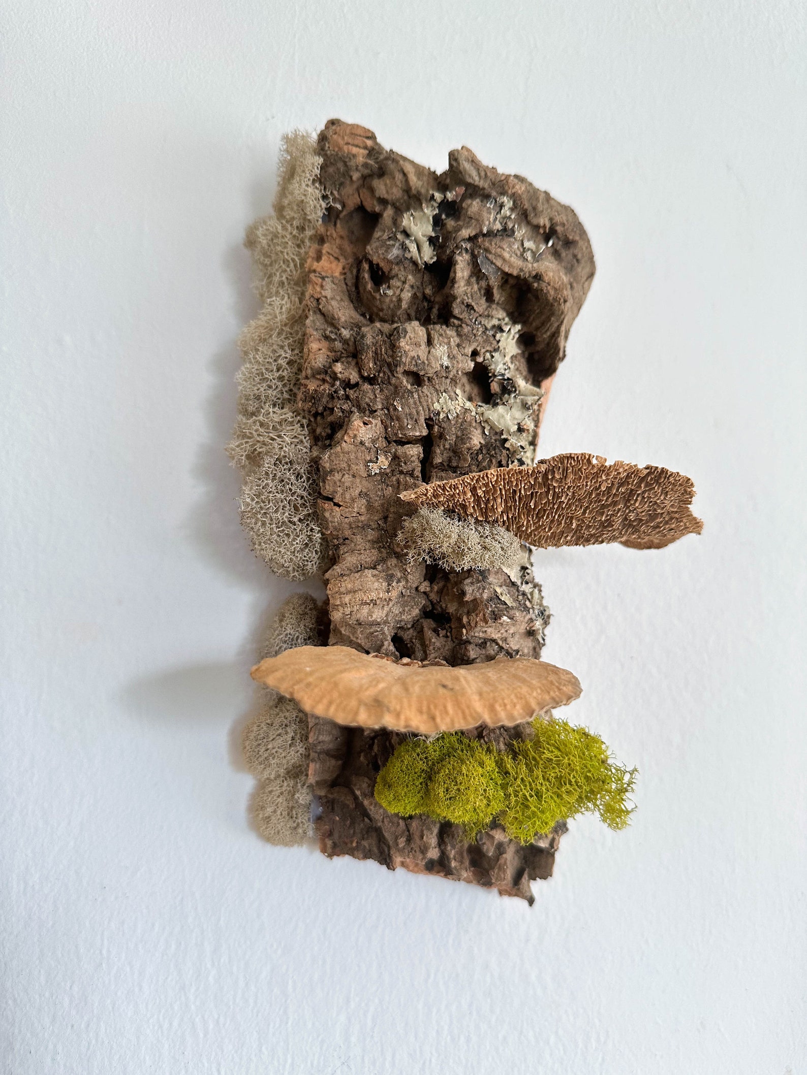 Floating Forest Art Gift, Moss on Cork Bark Natural Wall Decor ...