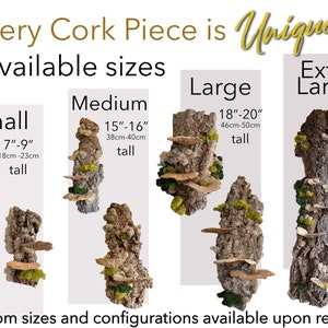 Floating Forest Art Gift, Moss on Cork Bark Natural Wall Decor ...