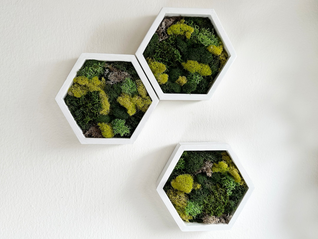 Moss Wall Art Hexagon, Greenery Wall Art Decor, Wood Hexagon, Honeycomb ...