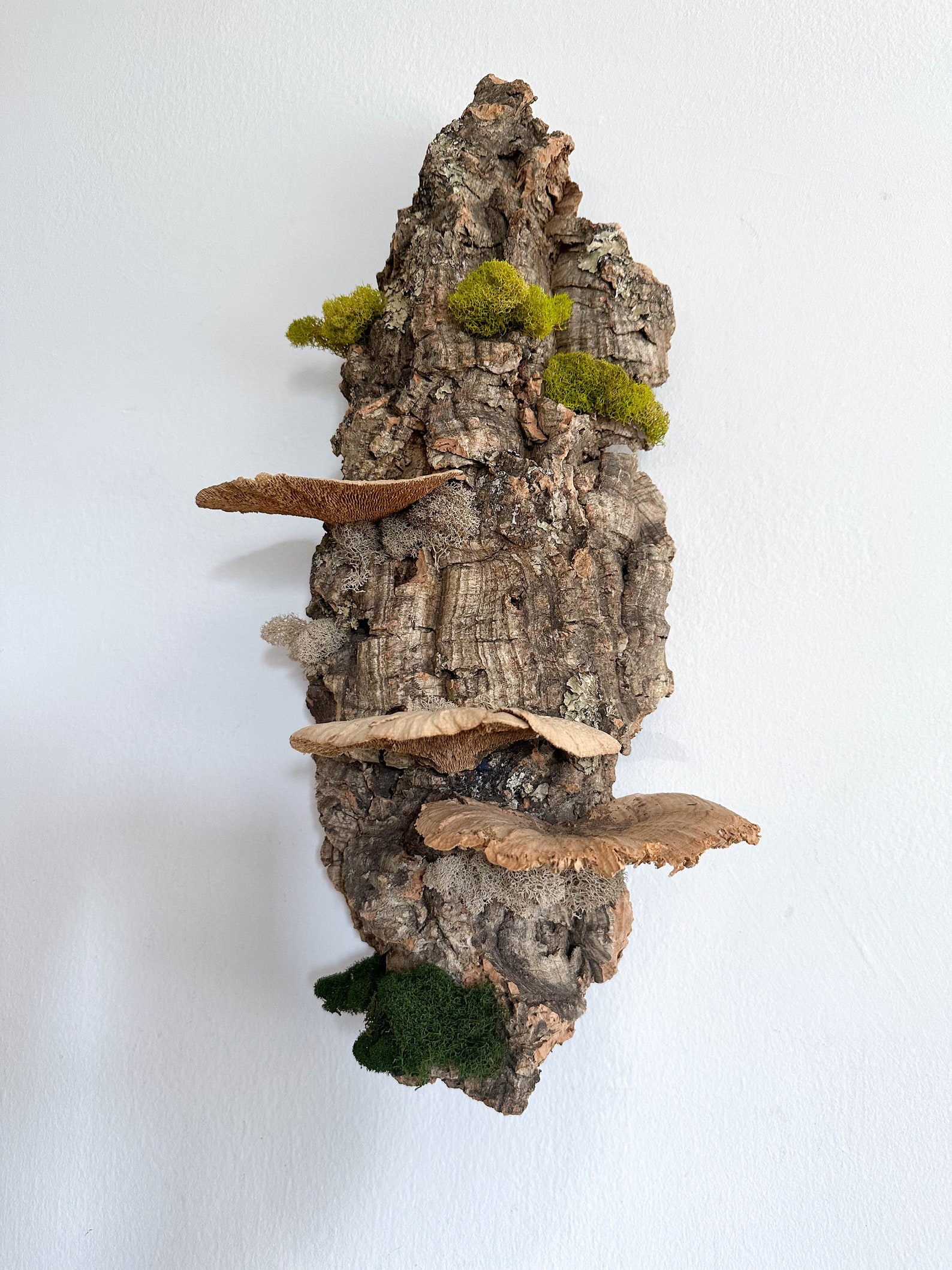 Floating Forest Art Gift, Moss on Cork Bark Natural Wall Decor ...