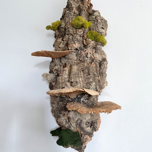 Floating Forest Art Gift, Moss on Cork Bark Natural Wall Decor ...